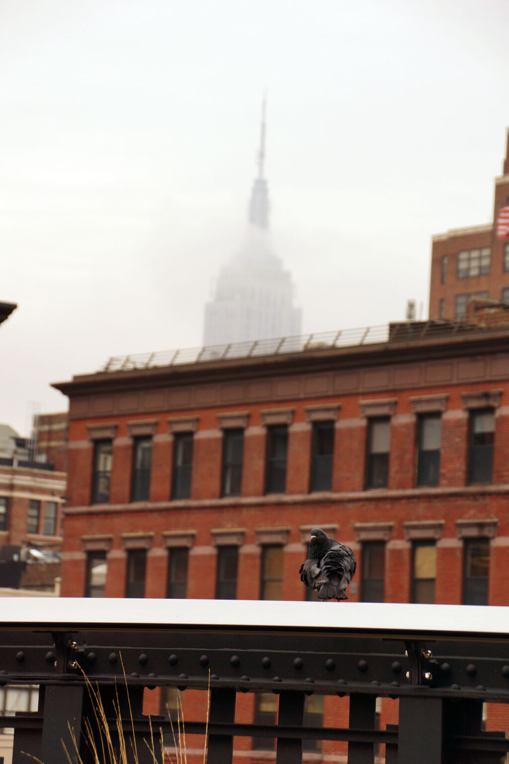 LivinTheHighLine.com; chronicles of High Line Park NYC